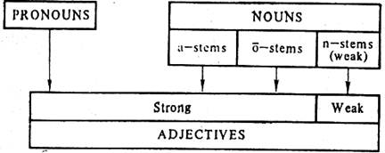 Weak and Strong Declension