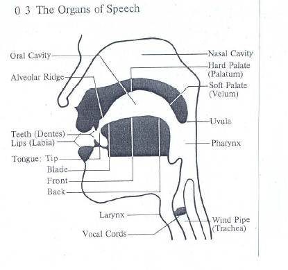Methods of phonetic analysis